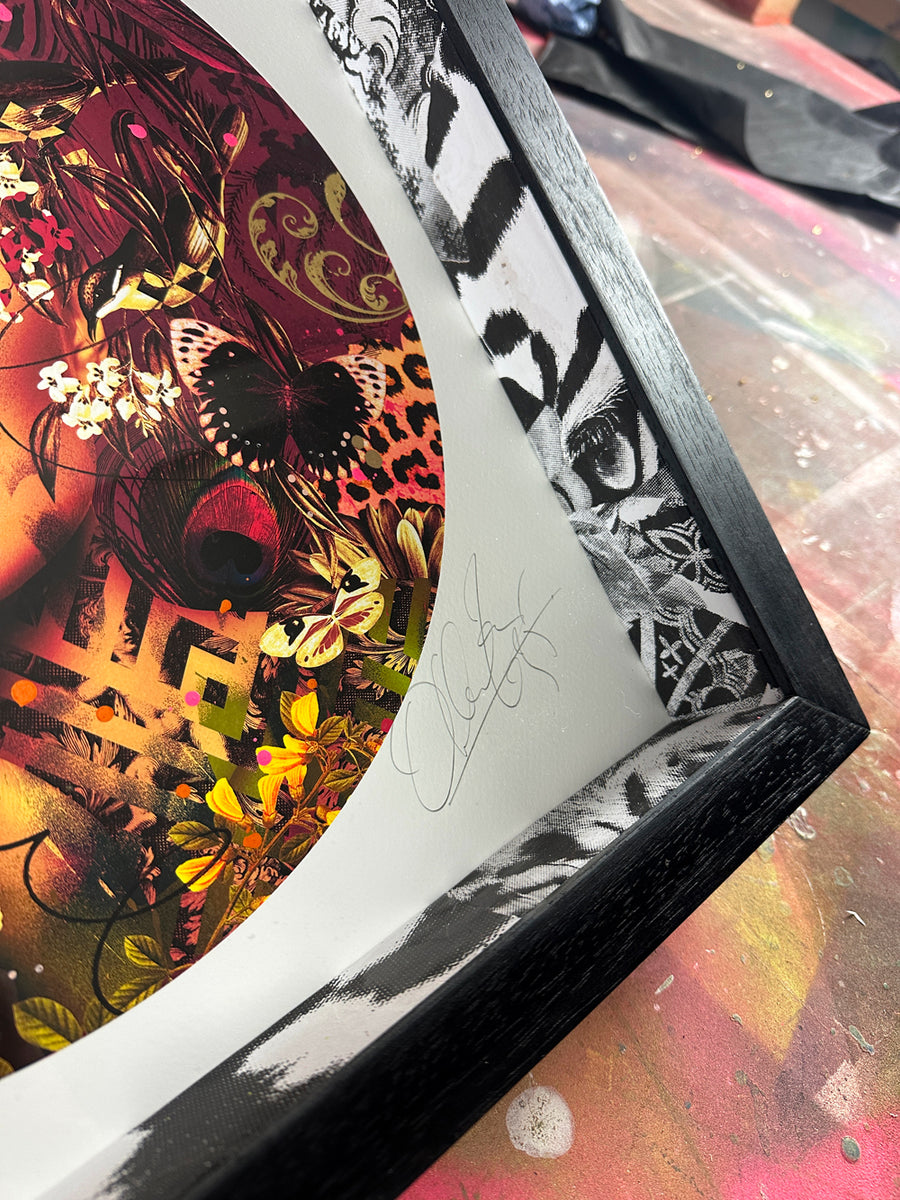 Exotica (deep custom frame) – Olly Howe