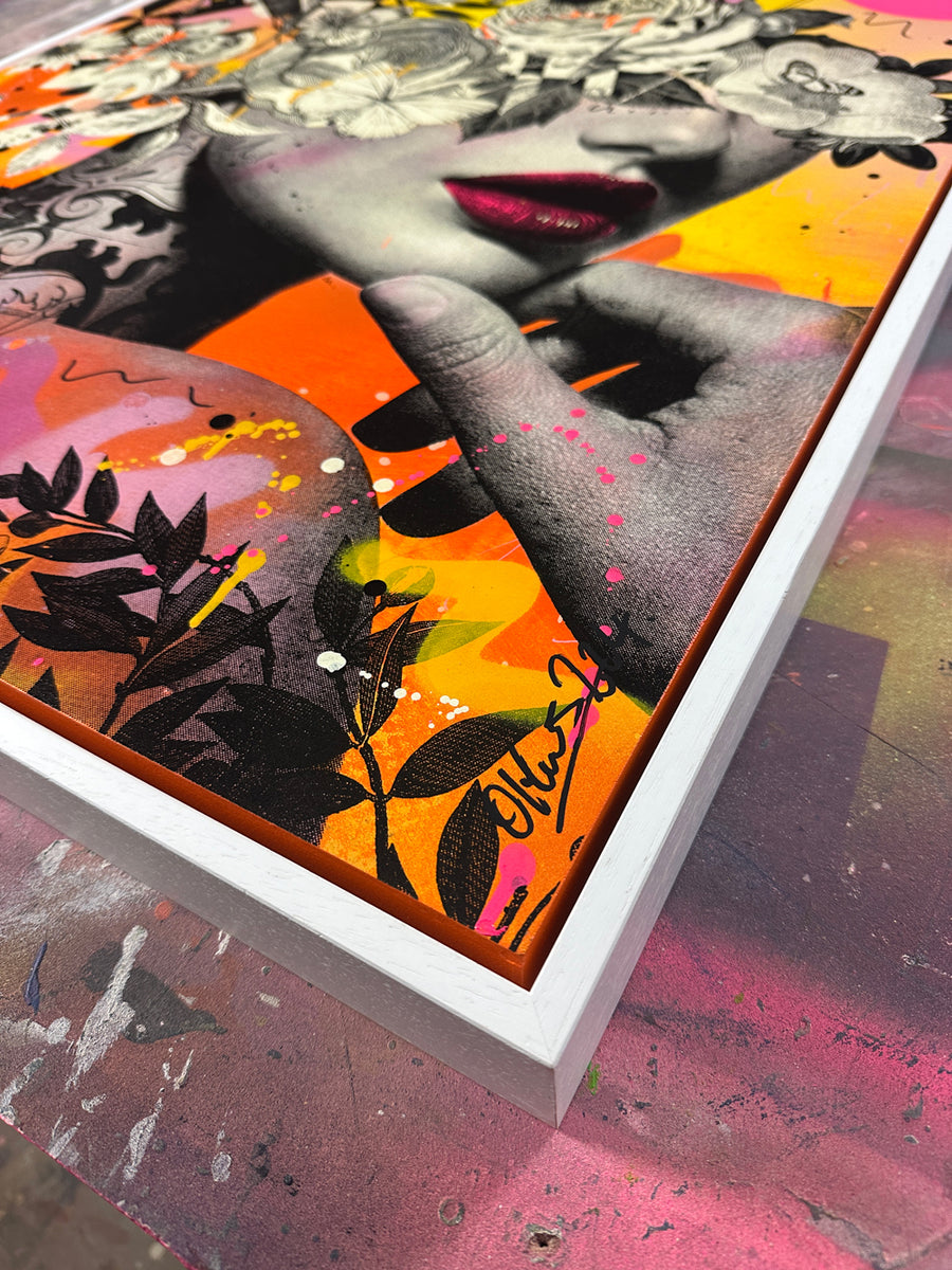 Illumination (framed original) – Olly Howe