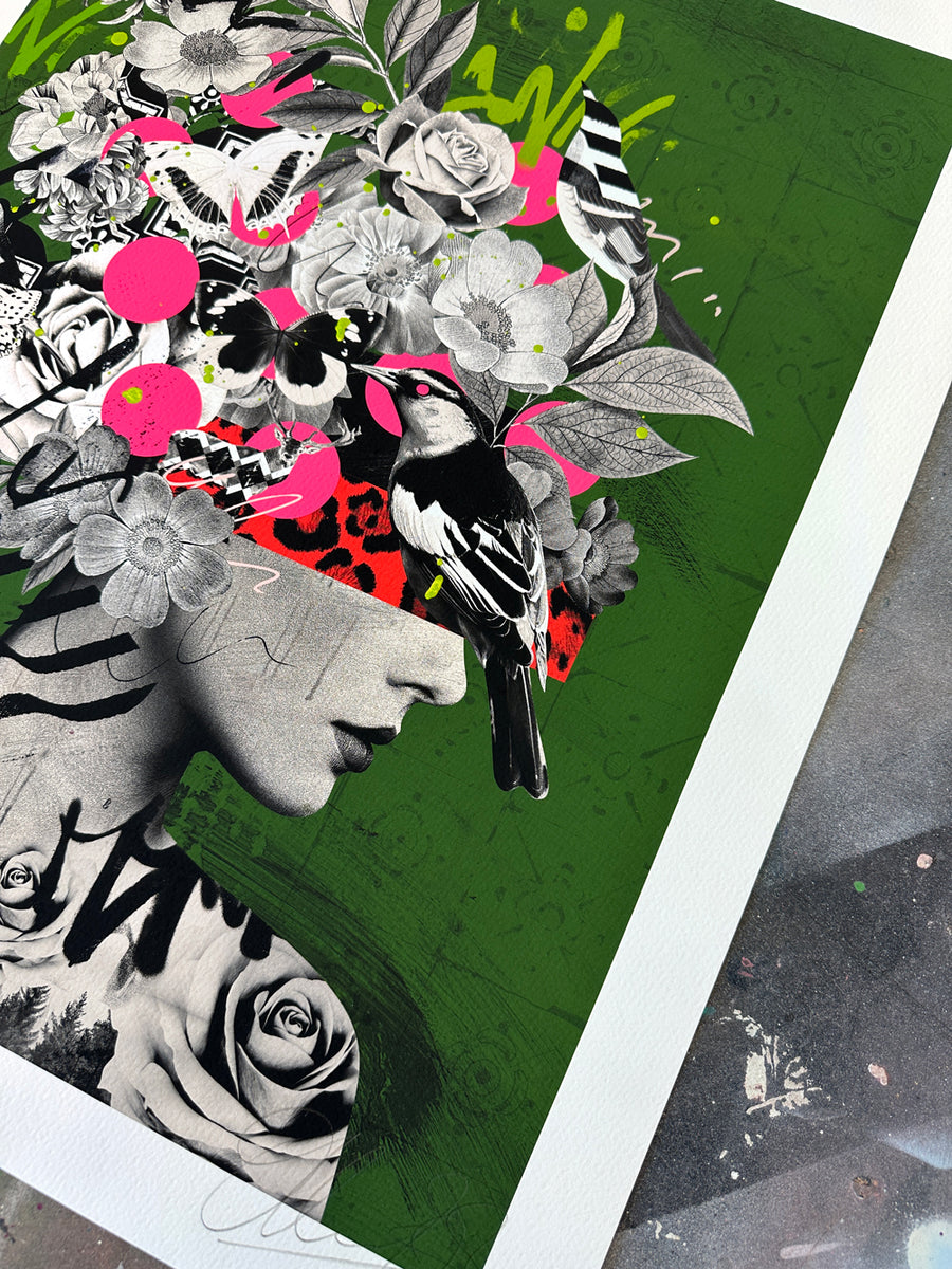 Lady Oriole (print) – Olly Howe