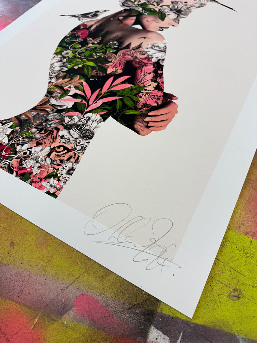 Mother Earth – Olly Howe