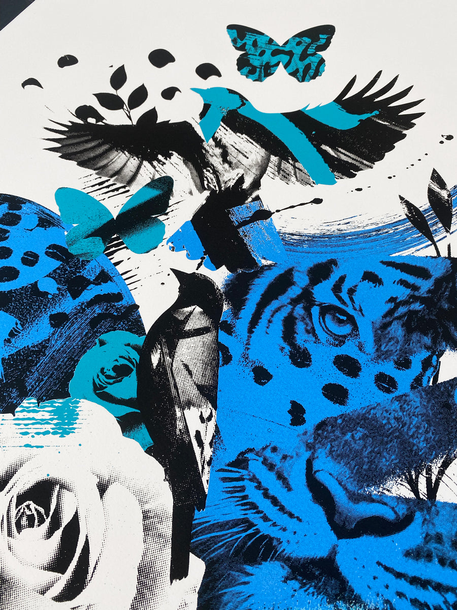WILD v1 – Olly Howe